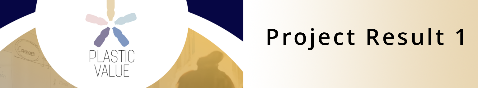 Project Results – PlasticValue